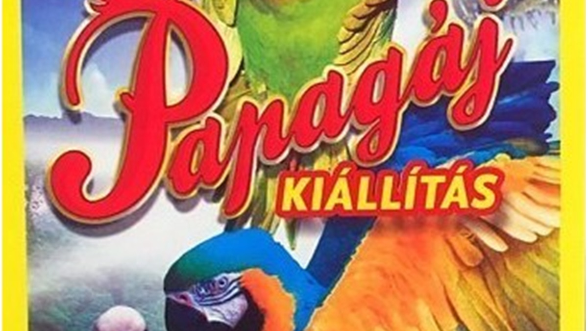 Papagáj kiállítás 2025 - Szeged terem - IH Rendezvényközpont